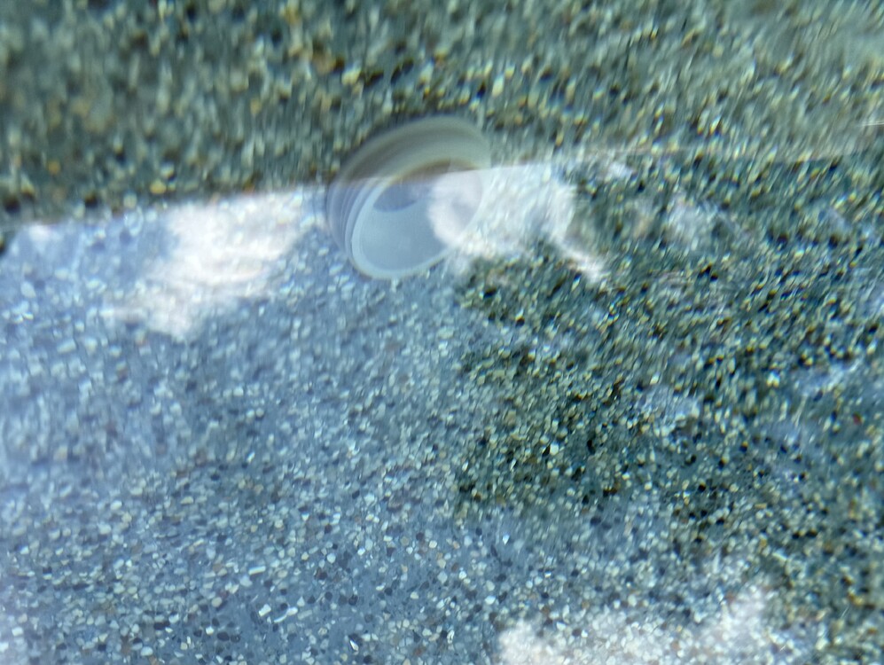 Gunite spa jet options - Hot Tubs & Spas - Inyo Pool People