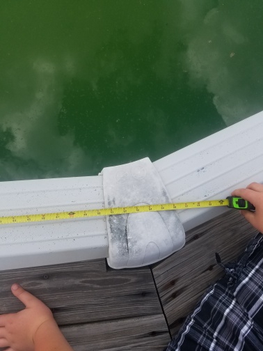 Top Rails 24' Above Ground - Pool Repair & Troubleshooting - Inyo Pool ...