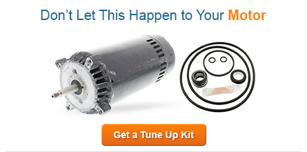 pump motor - Pool Repair & Troubleshooting - Inyo Pool People